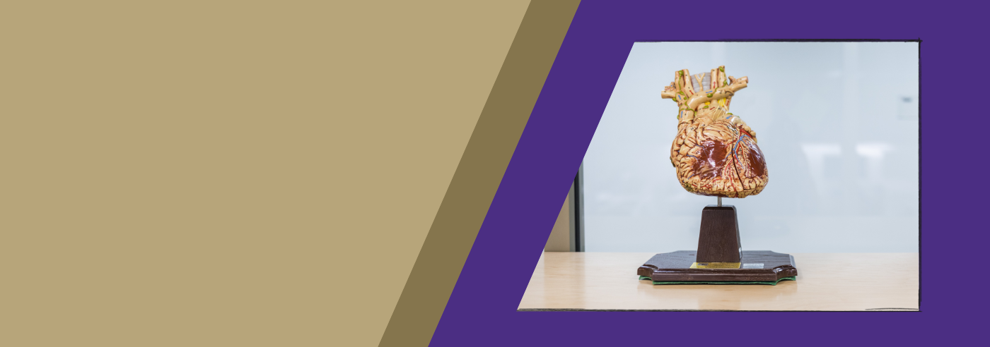 Home | University of Washington - Department of Global Health