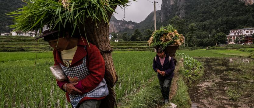 Latest news from the UW Department of Global Health | University of ...